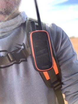 Garmin Alpha 100: The GPS Training Collar That Turned My Pup Into a ...
