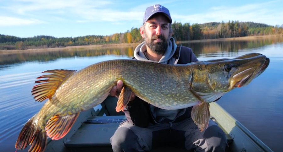 UPDATE: New York Officially Has a New Walleye Record - Wide Open Spaces