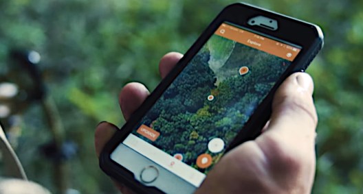 Hunting Scouting Techniques That Can Be Done From Your Backyard or ...