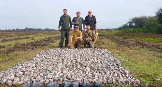 5 Premier Hunting Destinations Outside of Africa - Wide Open Spaces