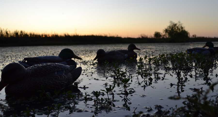 The Perfect DIY Duck Hunting Decoy Pond - Wide Open Spaces