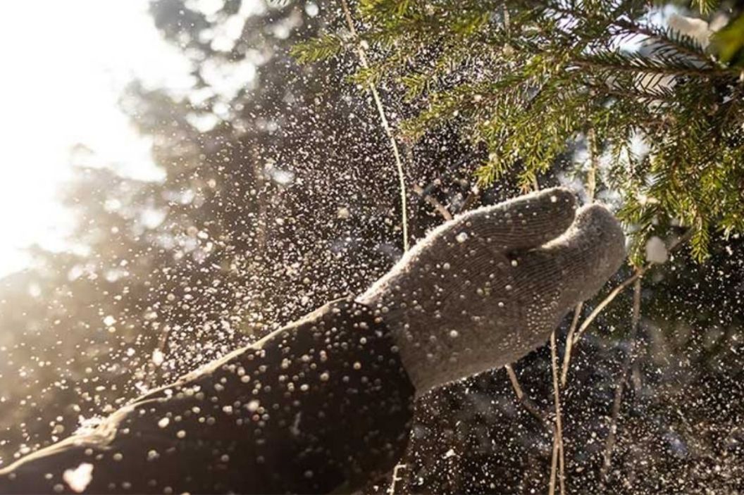 Reusable Hand Warmers: How They Work, and Which Ones We Suggest - Wide ...