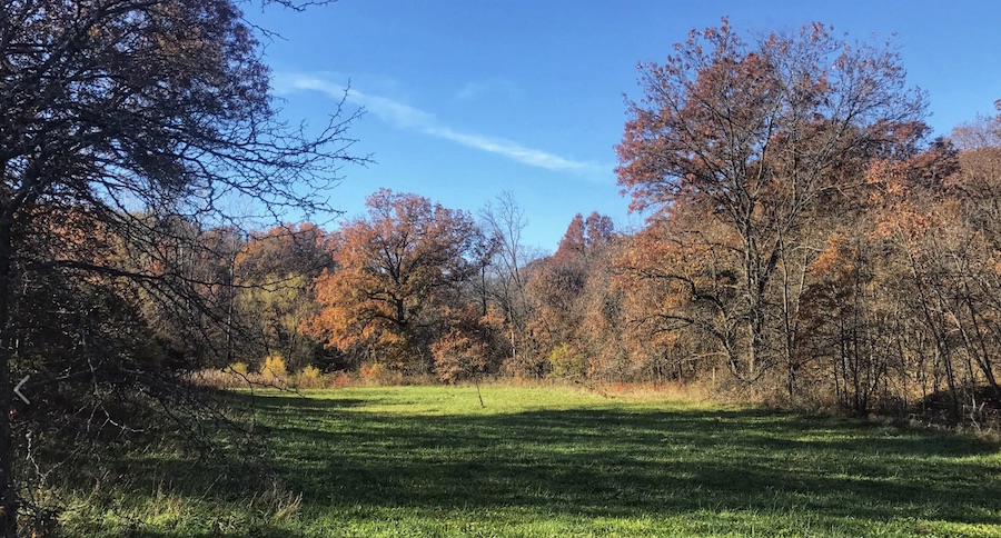 These Are the Big Updates to DeerCast That Drury Outdoors Just Released ...