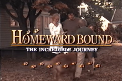 25 Fun Facts About 'Homeward Bound: The Incredible Journey'
