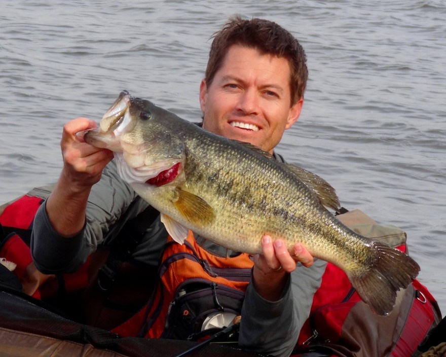 Bass Species Breakdown: Every Bass You Can Catch in North America