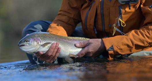 Utah Angler Catches New State-Record Splake - Wide Open Spaces