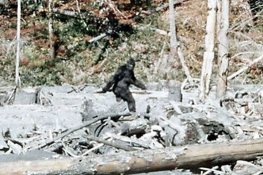 5 Bigfoot Legends From Around the World That May Actually Be Real ...