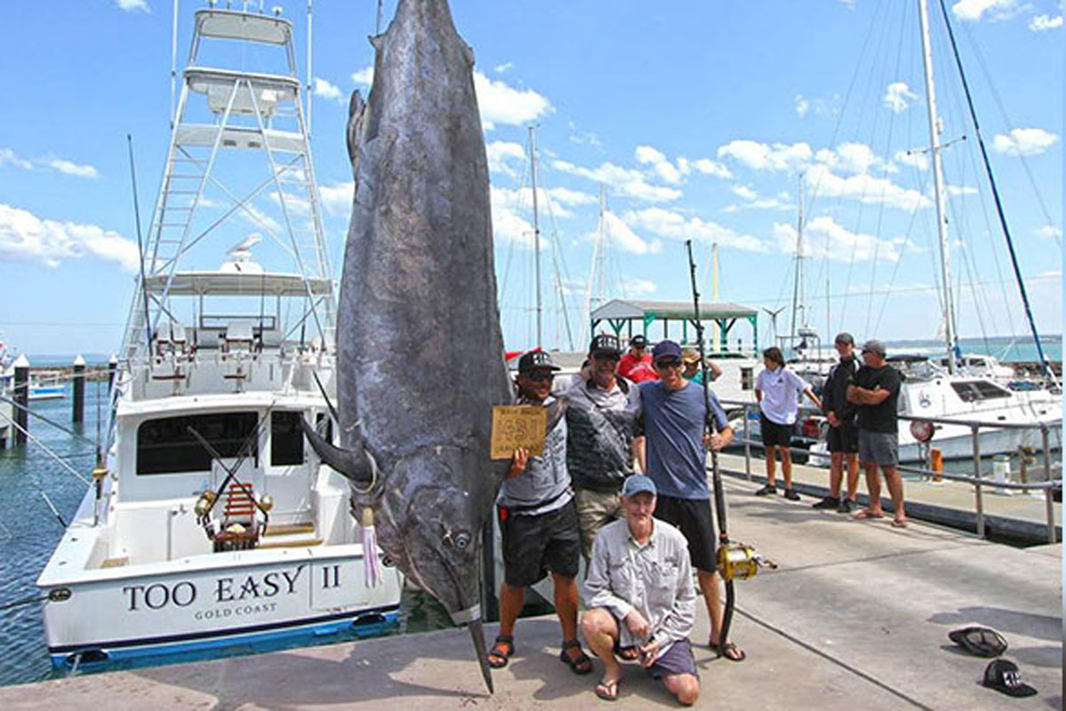 Australian Angler Barely Misses World Record With 1,431-Pound Black ...