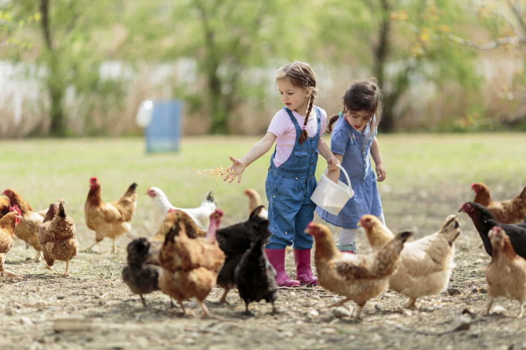 5 Important Reasons to Raise Your Kid Around Farm Animals