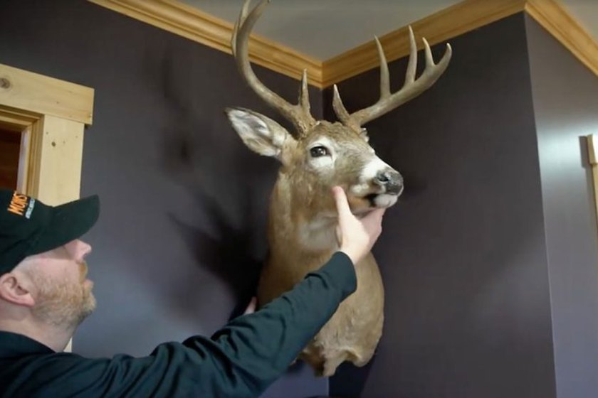 You Can Now Hang Your Deer Mounts in the Corner - Wide Open Spaces