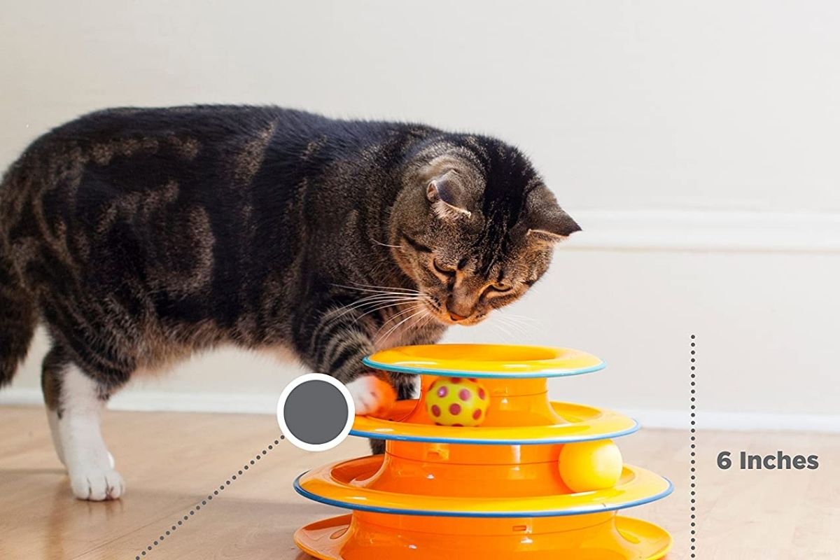 Interactive Cat Toys: 8 Best of Summer 2021 for Bored Indoor Cats