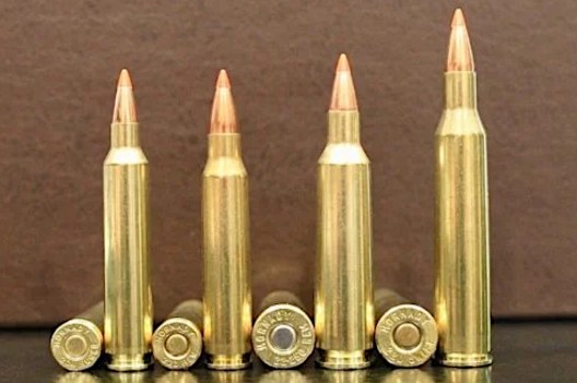 Fastest Rifle Cartridges: 9 Choices With the Best Bullet Velocity