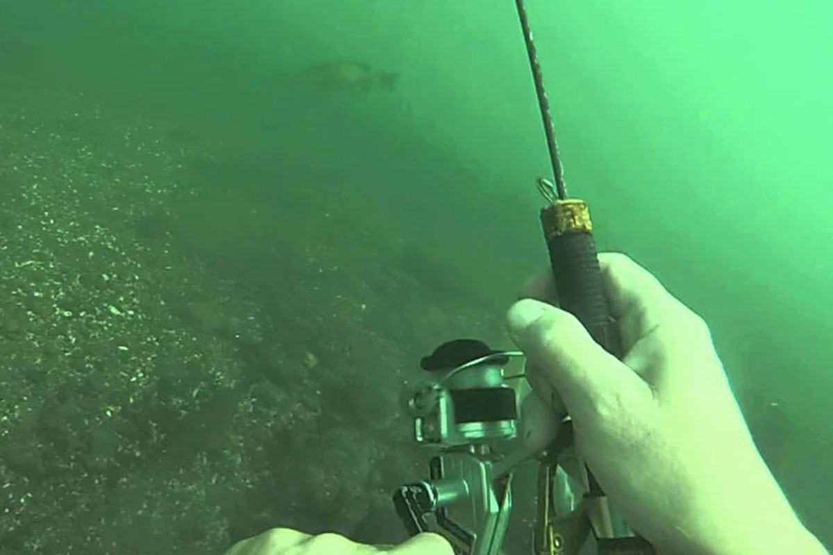 Underwater Fishing Lets You Go Where the Bass Are - Wide Open Spaces