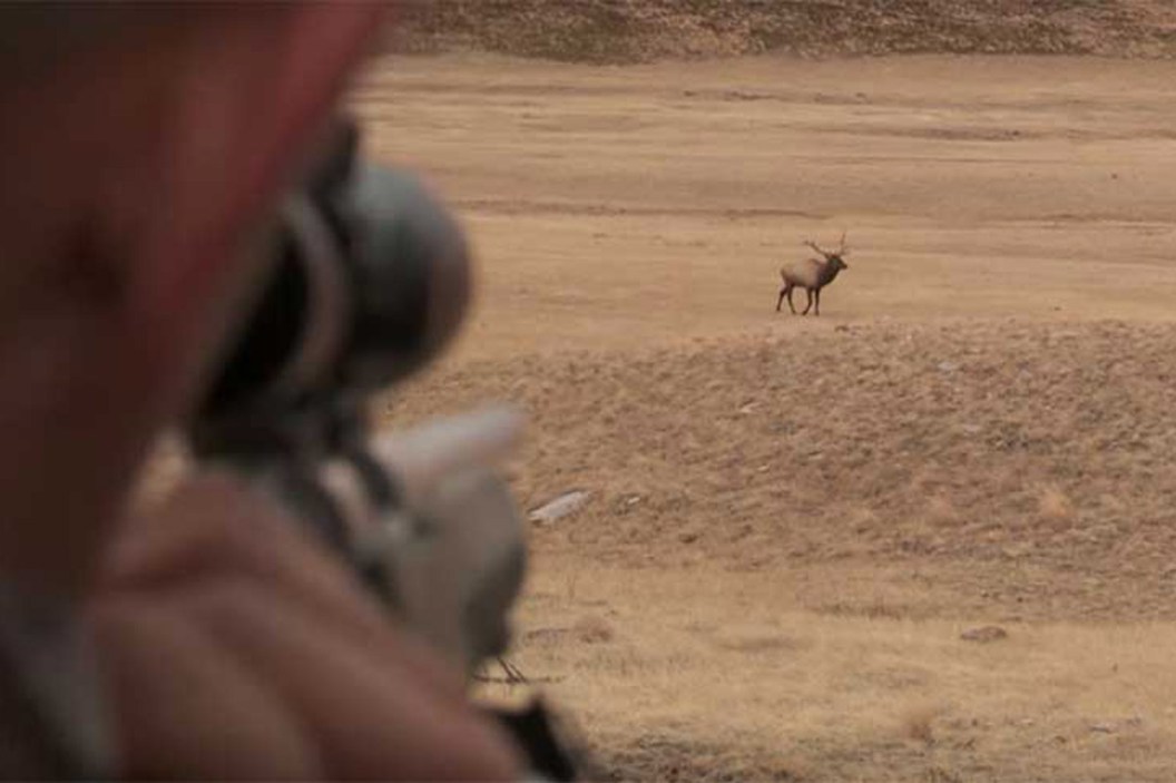 Hunter Shoots Elk From 875 Yards With .308 - Wide Open Spaces