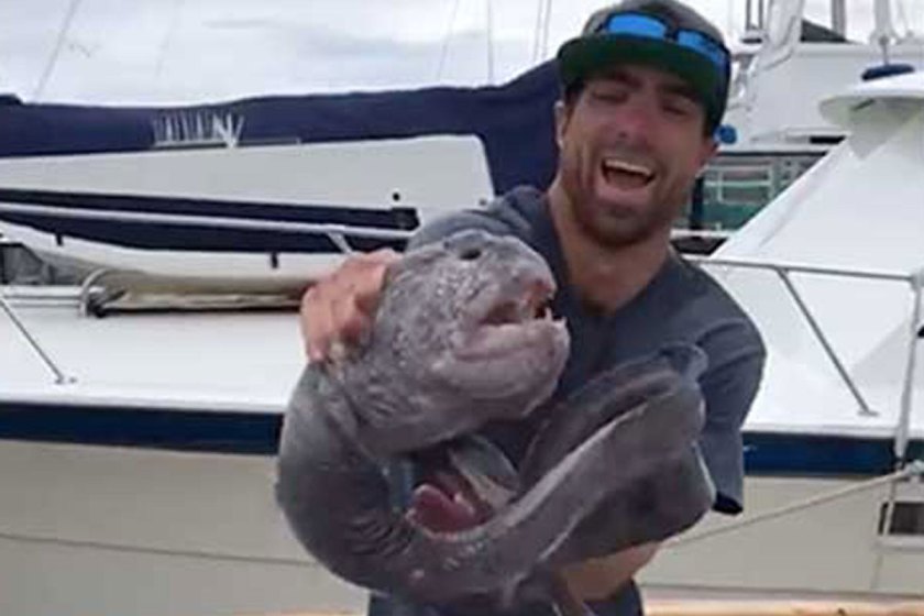 Fisherman Hauls in a Rare Wolf Eel - Wide Open Spaces