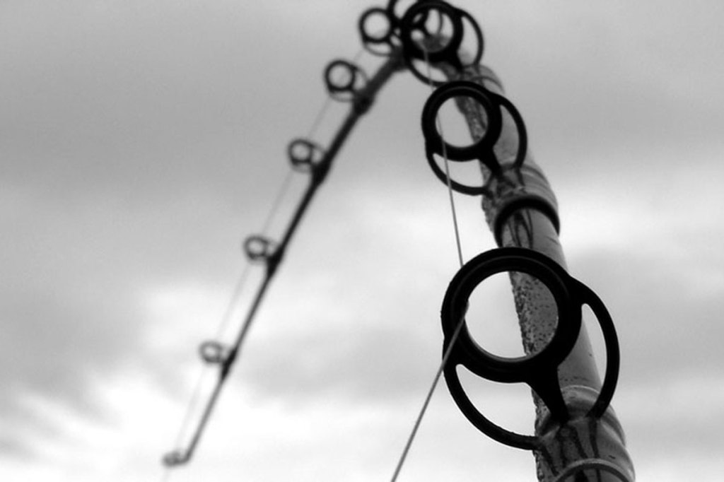 Flashback to the 'Alien Fish' That Caught Australian Angler by Surprise ...