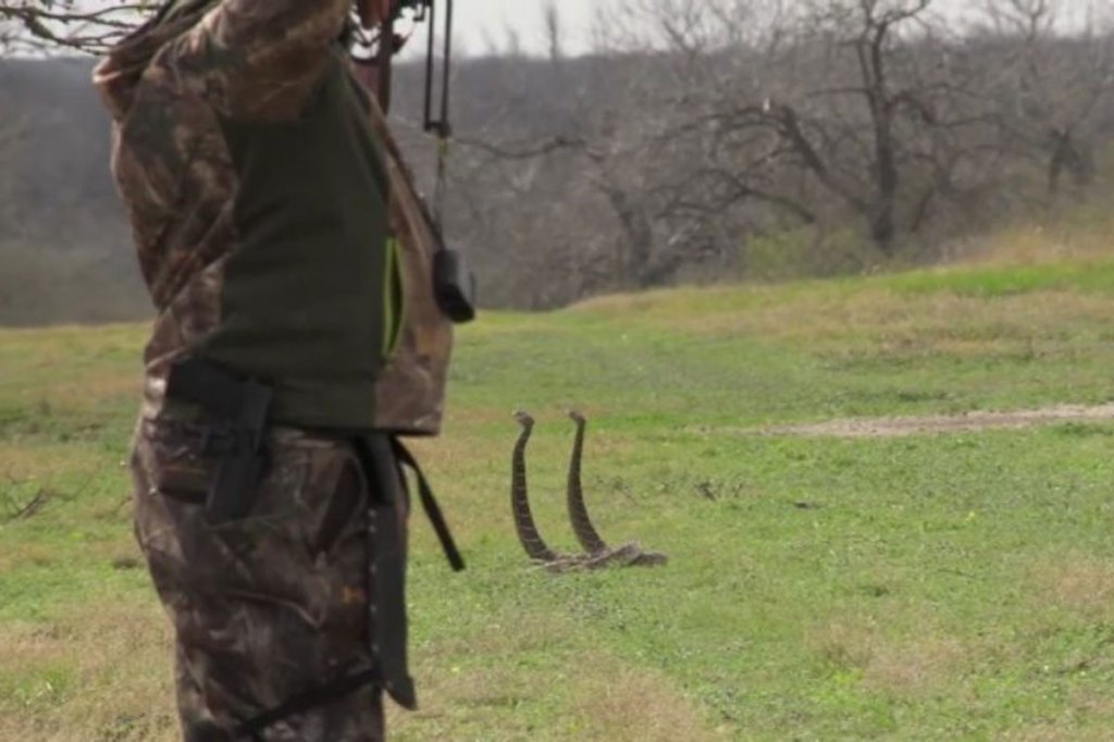 Hunter Drops Rattlesnake With His Bow - Wide Open Spaces