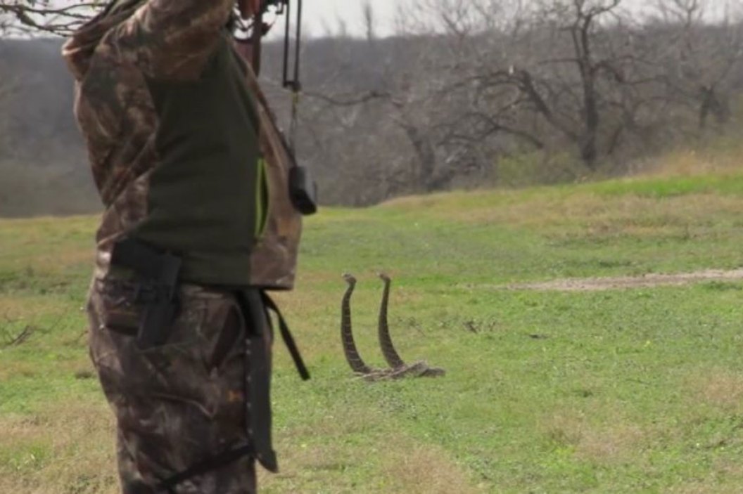 Hunter Drops Rattlesnake With His Bow - Wide Open Spaces