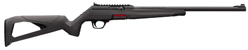 9 Best .22 Rifles for Plinking and Hunting in 2022