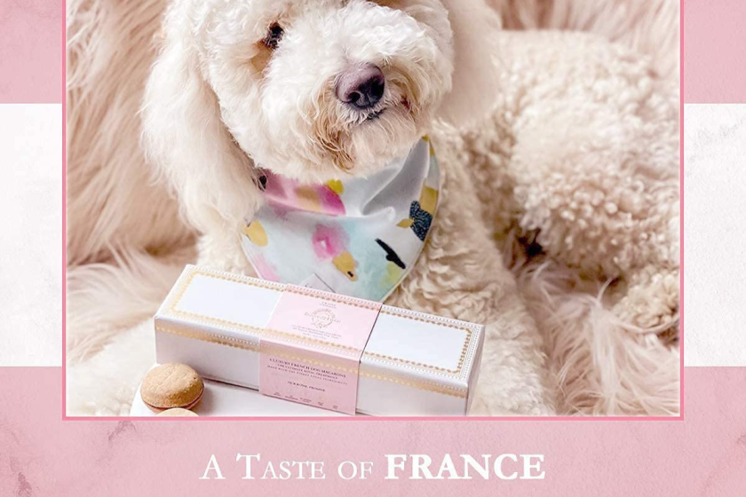 Dog Macarons: Treats Your Dog Will Fall in Love With