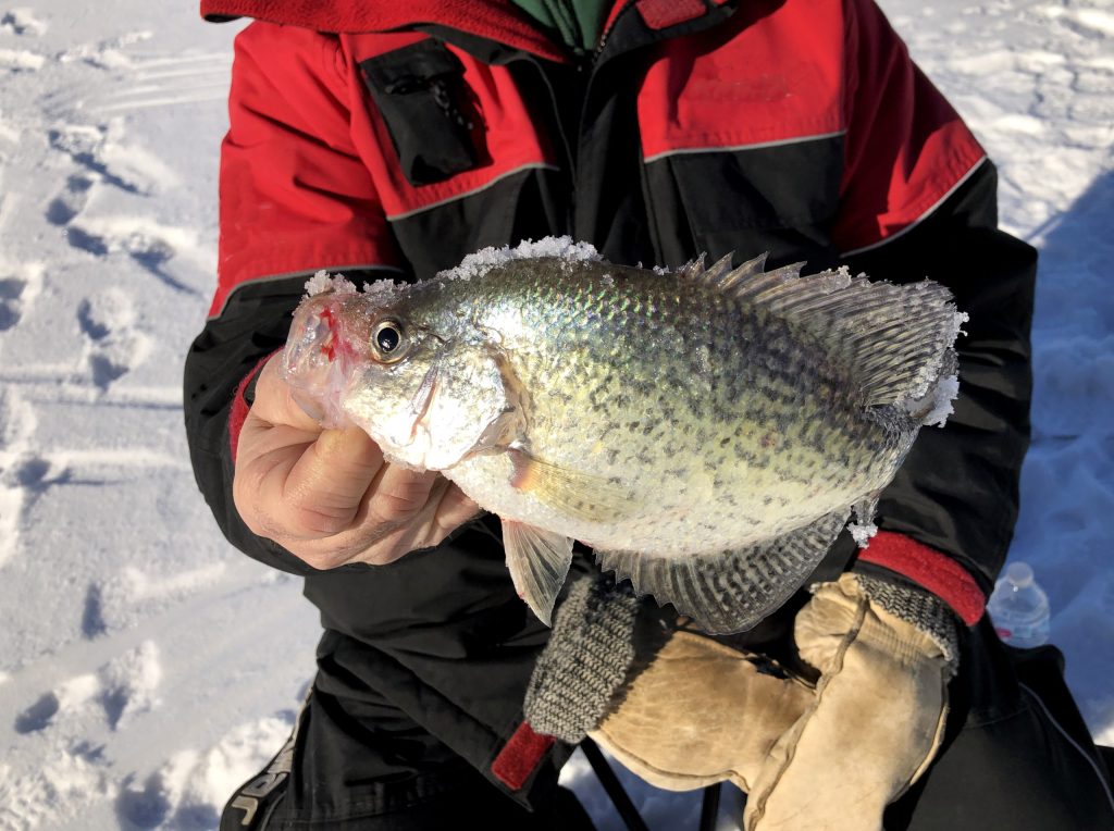 Crappie Fishing Tips to Help Catch Slabs Any Time of Year - Wide Open ...