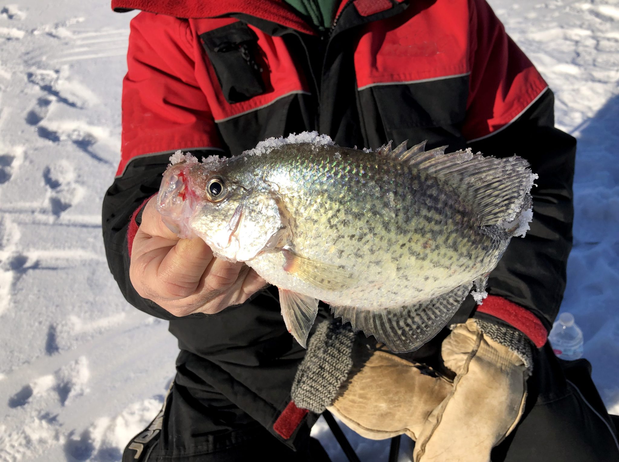 Crappie Fishing Tips to Help Catch Slabs Any Time of Year - Wide Open ...