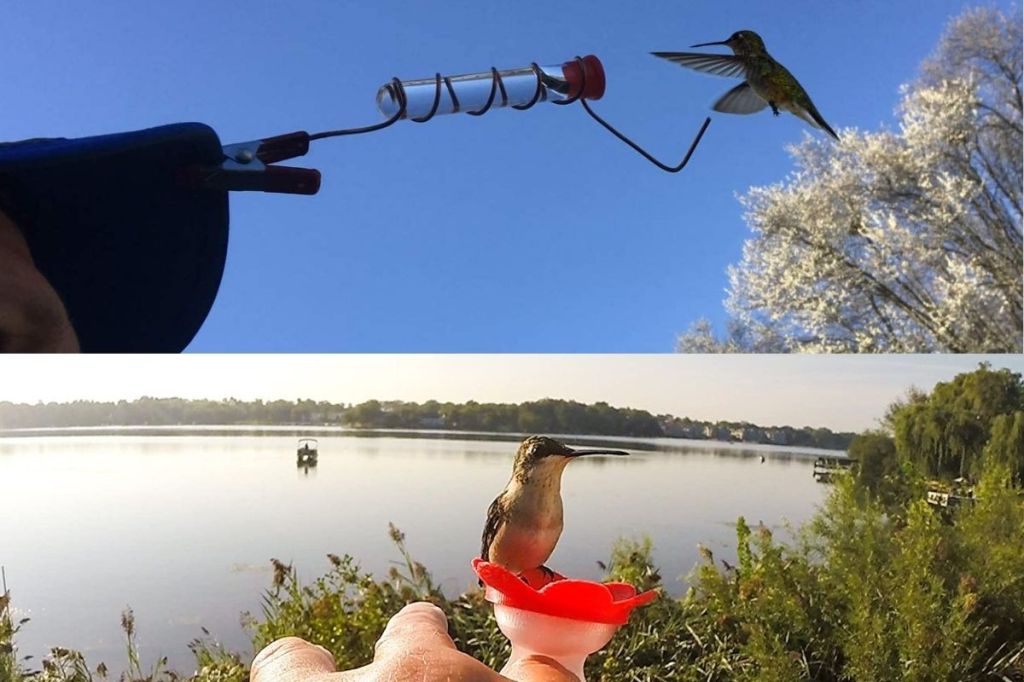 Hummingbird Hat and Ring Feeders Are Perfect for Birdwatching