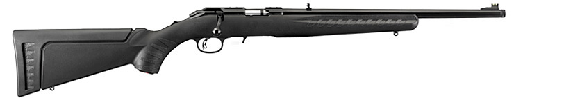 .17 HMR Rifles: The 8 Best Picks on the Market