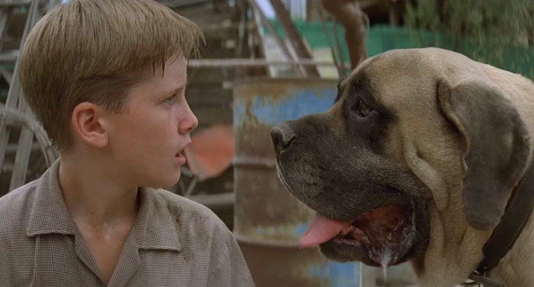 The Sandlot Dog: Hercules a.k.a 'The Beast' Was Really a Sweetheart