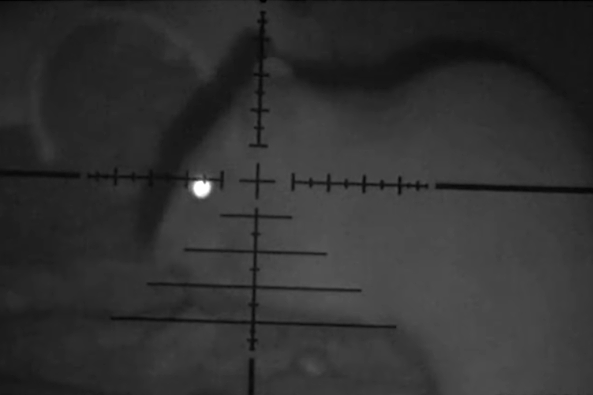 Airgunner Rids Farm of Rat Infestation with Night Vision Optics and ...