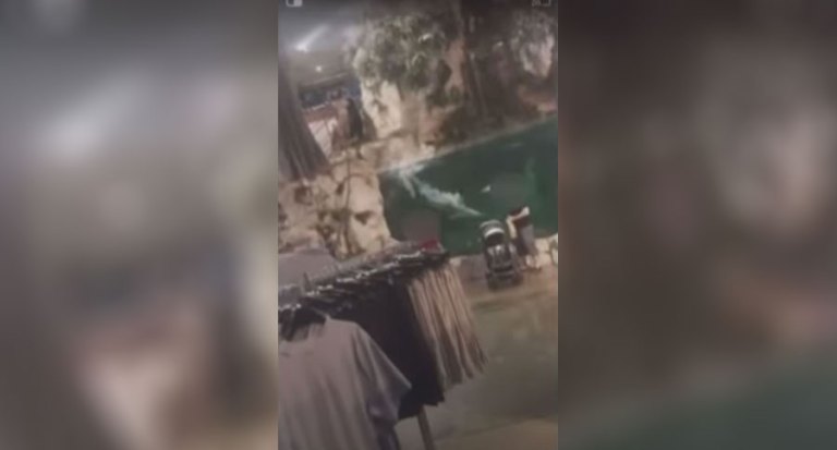 World's Largest Free-Standing Aquarium Explodes in Berlin