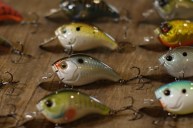 Angler Hand Builds 100-Piece Snake Lure in His Garage - Wide Open Spaces