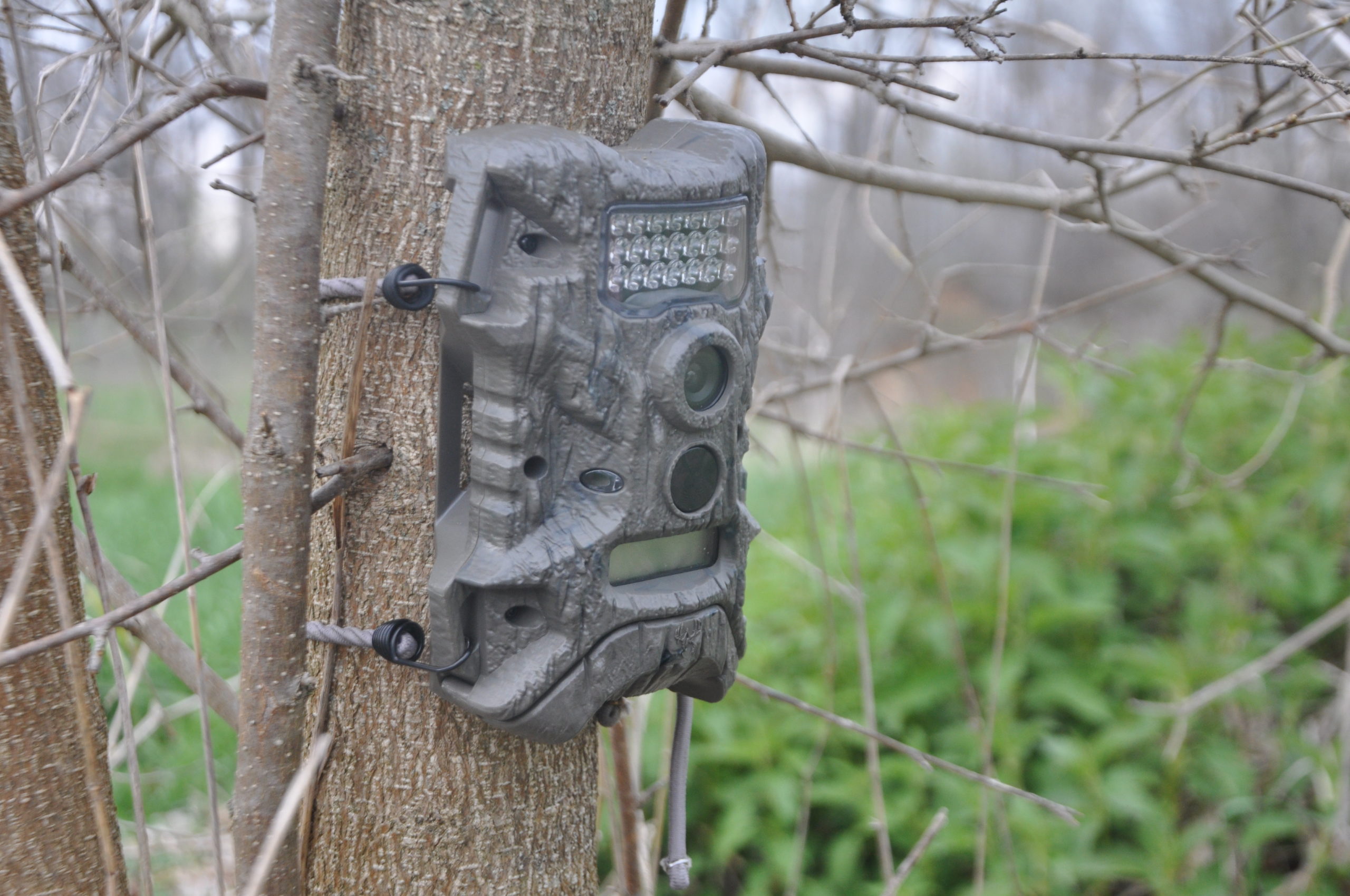 How to Make the Most Out of Your Deer Hunting Season - Wide Open Spaces