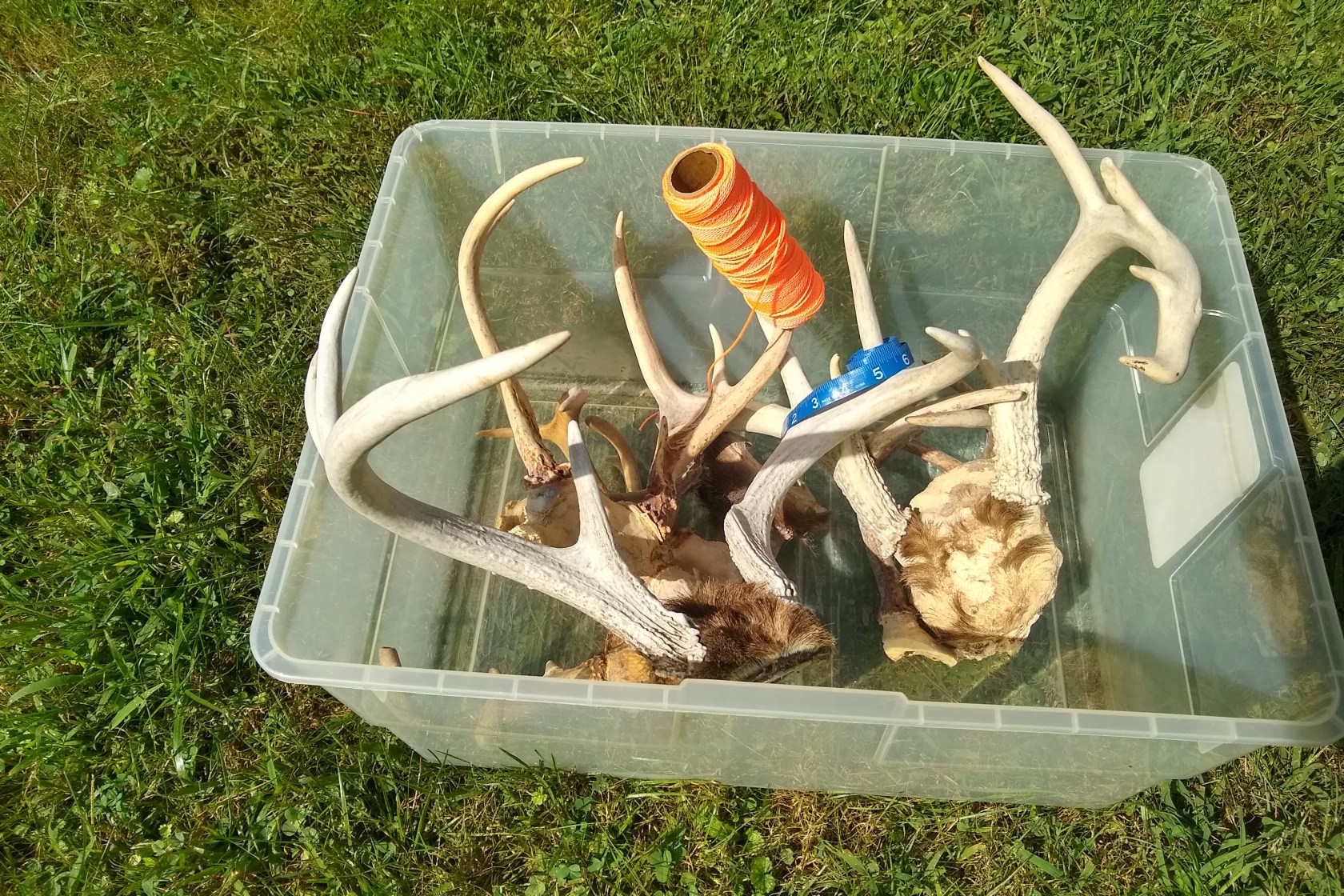 How to Score a Buck in 5 Easy Steps - Wide Open Spaces