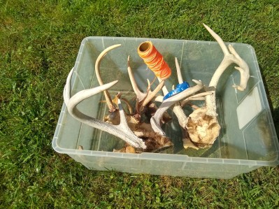 How to Score a Buck in 5 Easy Steps - Wide Open Spaces