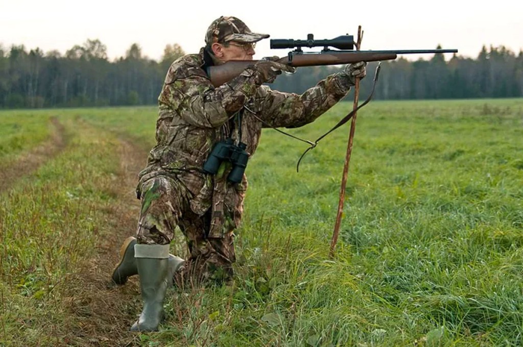 Best Budget Hunting Rifles for Next Season