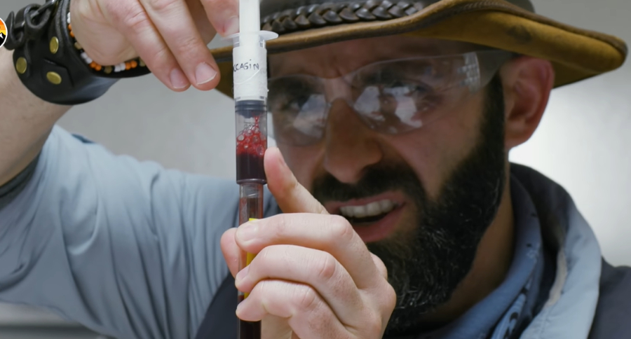 Snake Venom Does Crazy Things to Human Blood - Wide Open Spaces