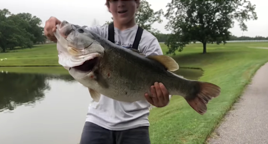 Young Angler Freaks Out After Catching 15-Pound Bass on Camera - Wide ...