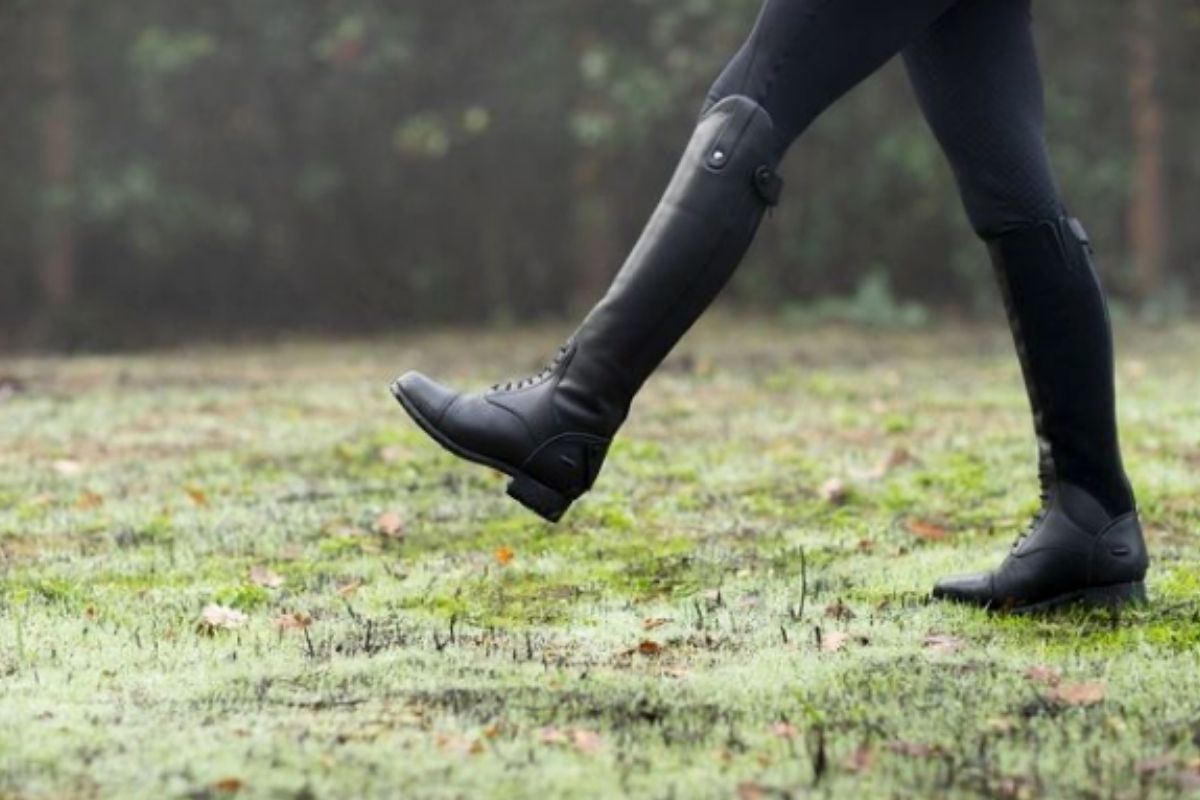 8 Best Ariat Riding Boots of 2022 for Women: Tall & Paddock + Half Chaps