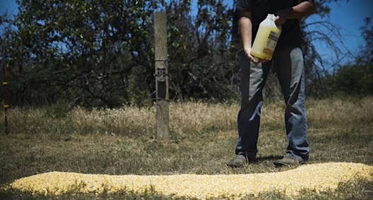 The 8 Best Deer Feeders On the Market Today