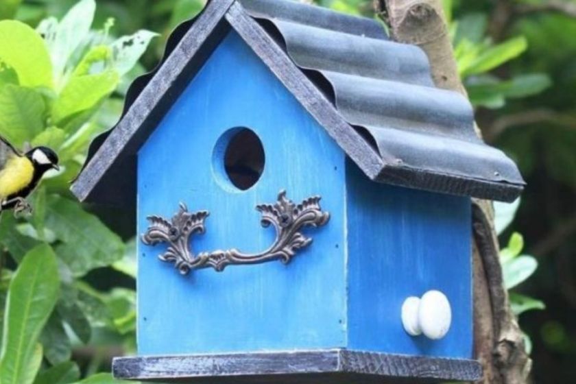 5 Birdhouse Colors That Match Bird Attractant Flowers
