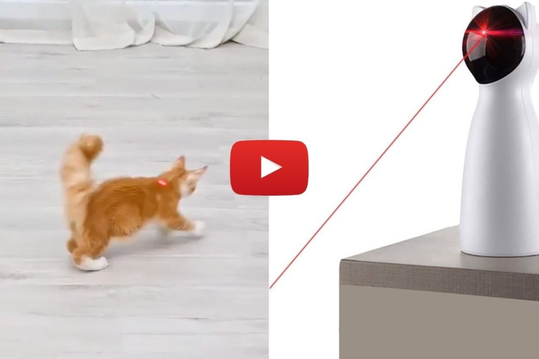 5 Best Cat Laser Toys of 2022 to Satiate Bored Cats (Automatic Lasers)