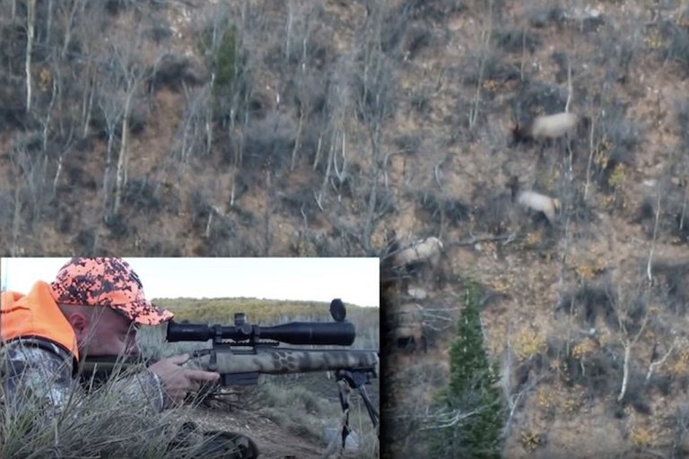 Hunter Shoots Elk From 875 Yards With .308 - Wide Open Spaces