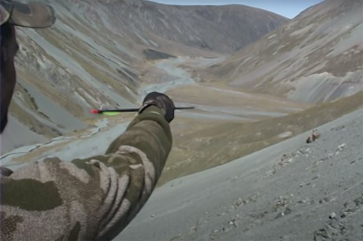 Tim Wells Makes a 130-Yard Bow Shot on a Running Tahr - Wide Open Spaces