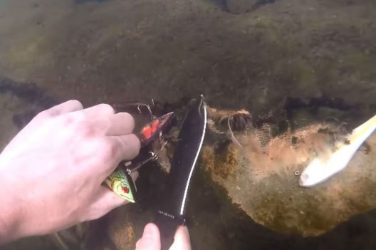 Learn How to Preserve Your Gar Fish Hide - Wide Open Spaces