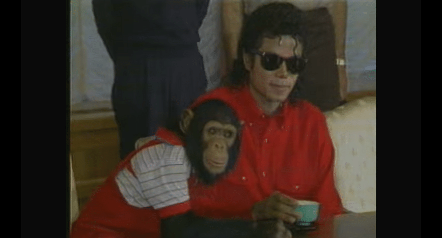 What Happened to Michael Jackson's Chimp, Bubbles?