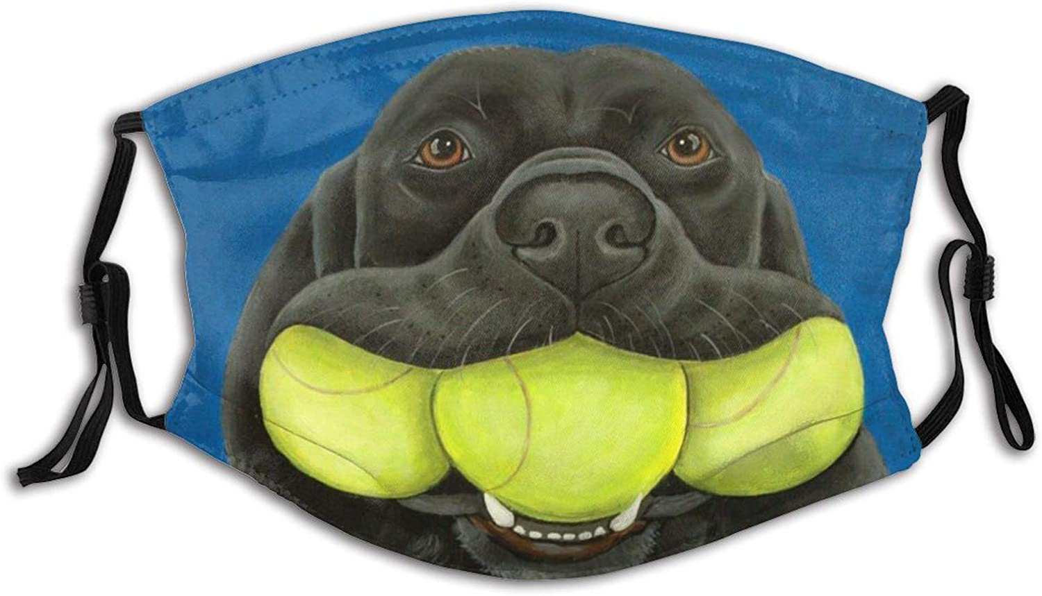 Puppy Goes Skiing in Baby Carrier, Deserves All The Gold Medals