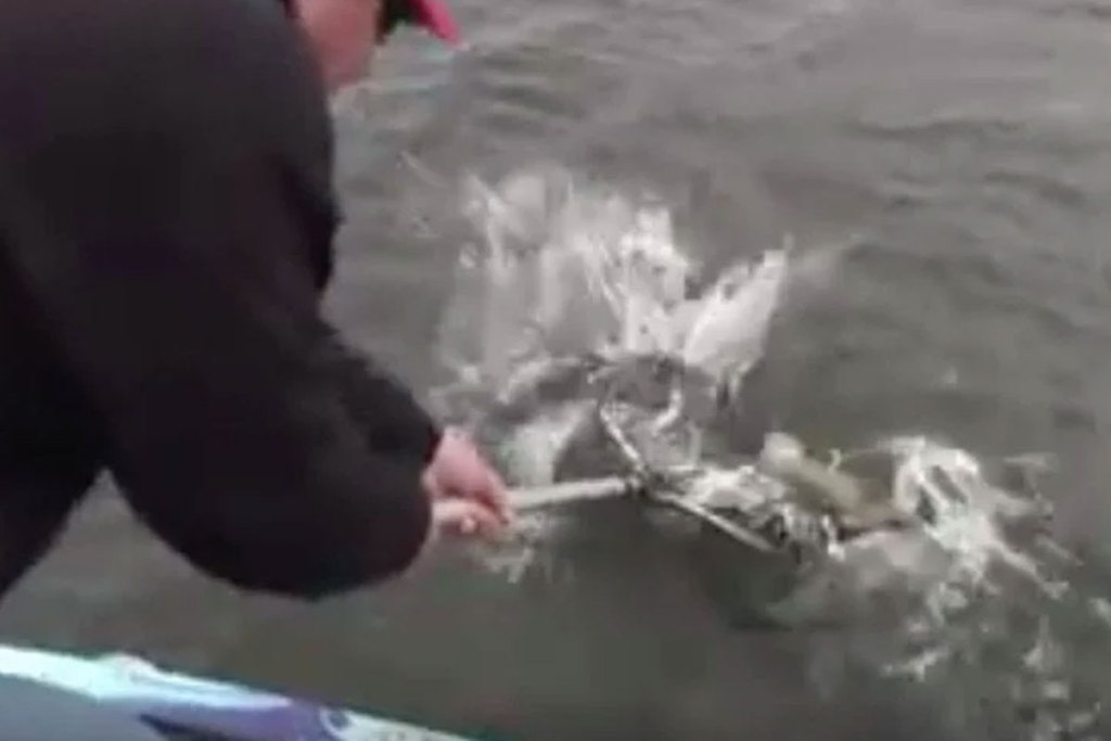 What is Micro Fishing? Take a Plunge Into the World of Tiny Tackle