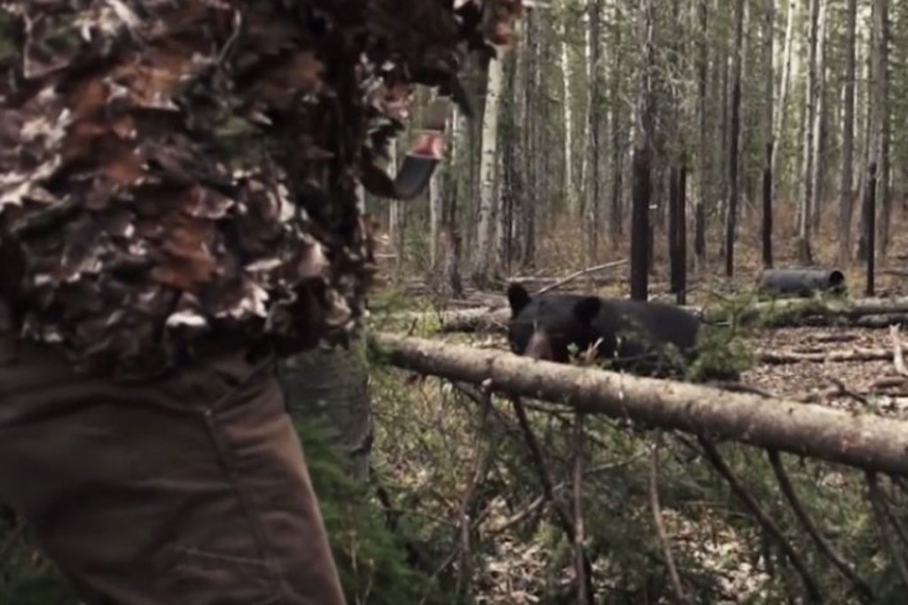 Black Bear Hunt Turns Dangerous, Hunter Takes the Shot From 3 Yards ...