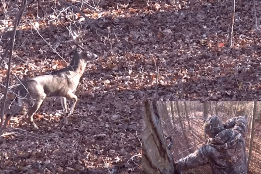 Hunter's Perfect Shot on Deer Captured in Slow-Motion Video - Wide Open ...